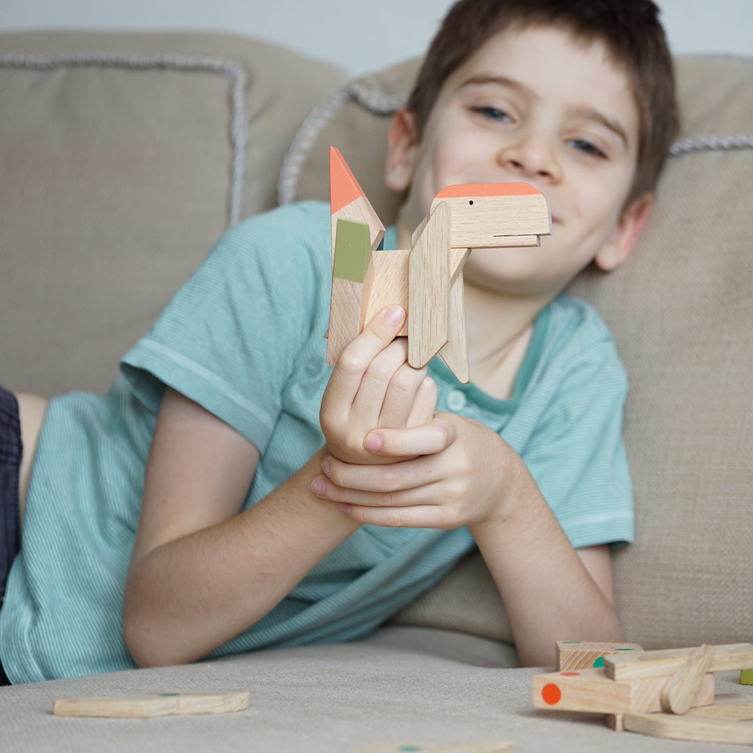 Wooden Magnetic - T.rex Puzzle Toy – TINNITOTS