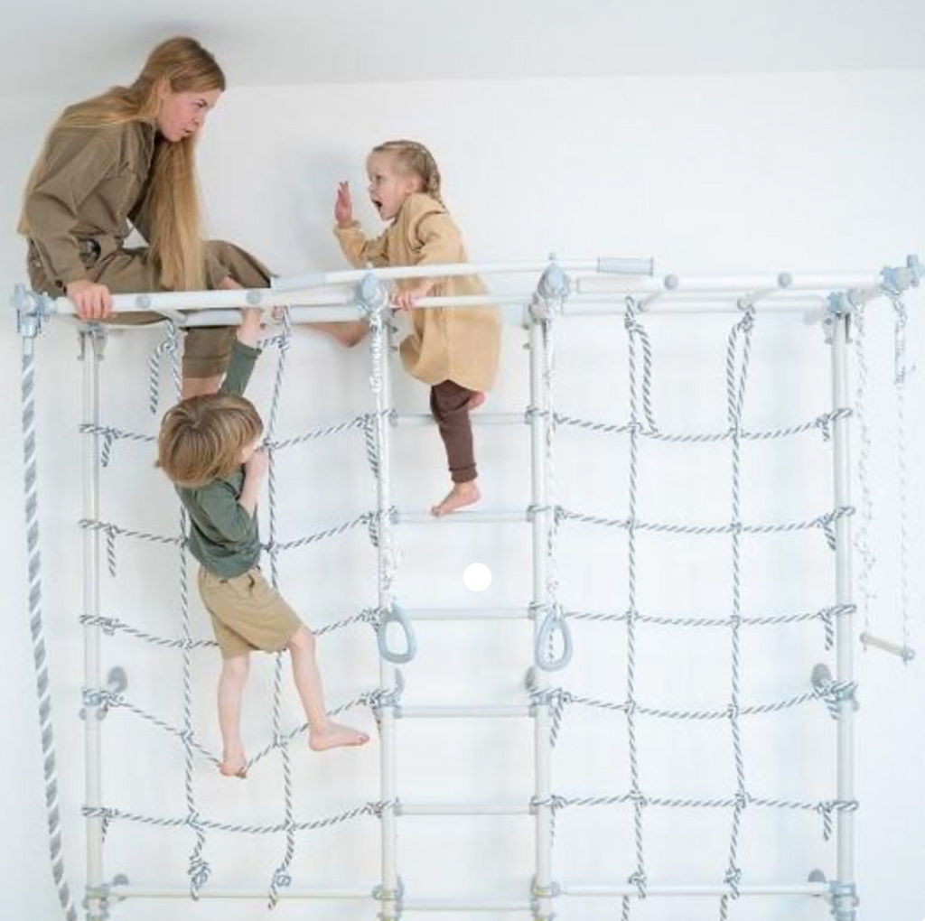 Sensory Climbing Monkey Bars for Kids – TINNITOTS